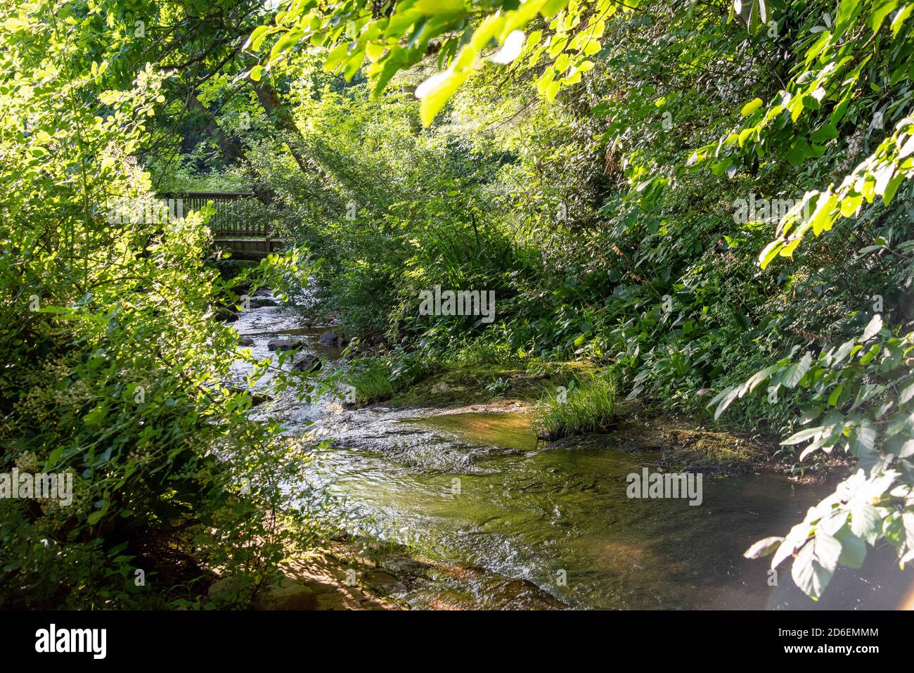 Deep in blue ridge mountain views Stock Photo - Alamy