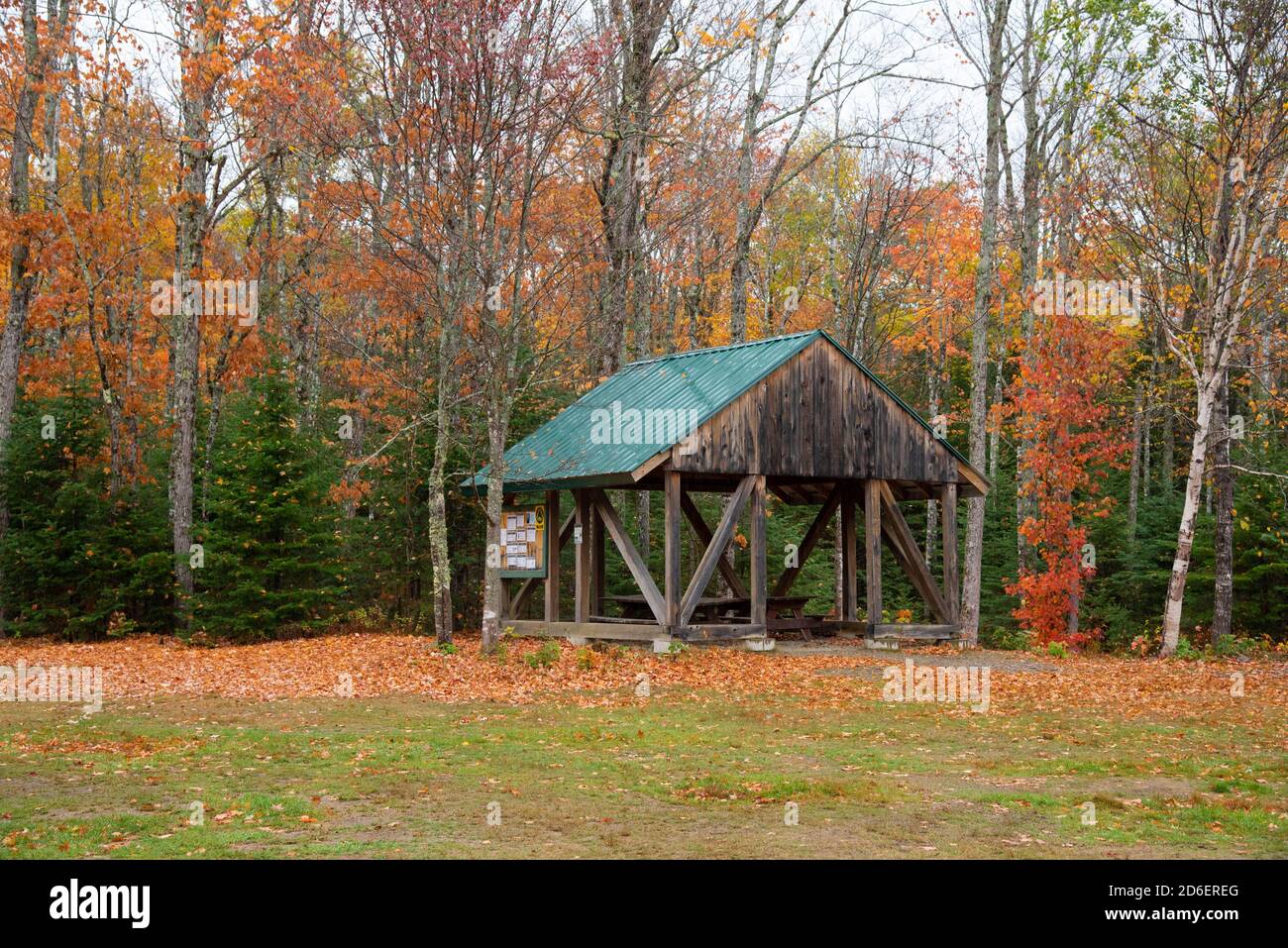 Campsite in fall foliage woods Stock Photo - Alamy