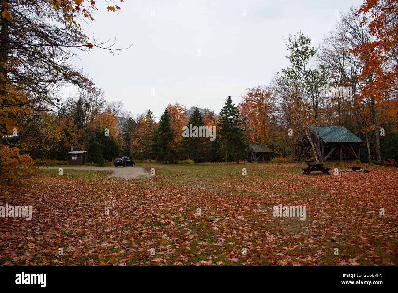 Fall Foliage in Remote Mountains Stock Photo - Alamy