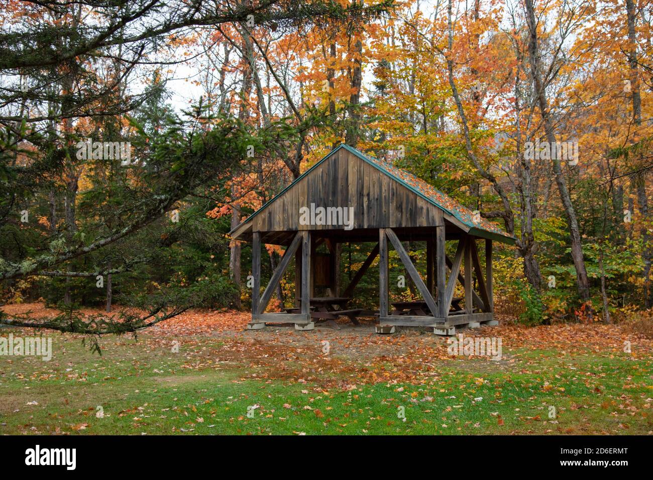Campsite in fall foliage woods Stock Photo - Alamy