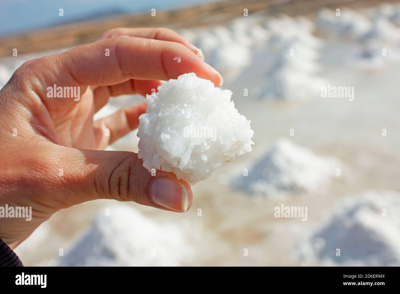 A woman hand holding a piece of salt, in front of a salt evaporation ...