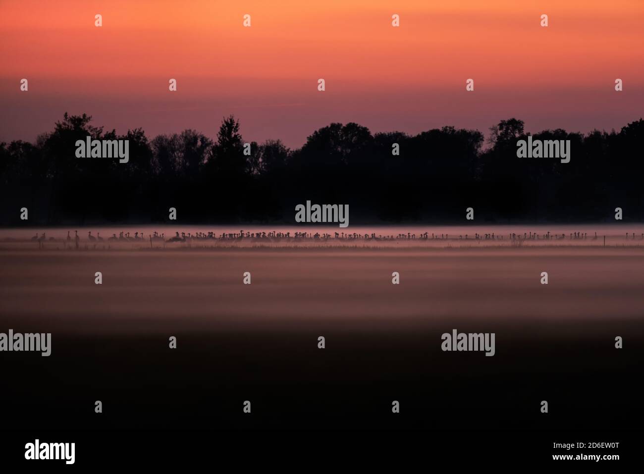 Germany, Saxony-Anhalt, Altmark Stock Photo - Alamy