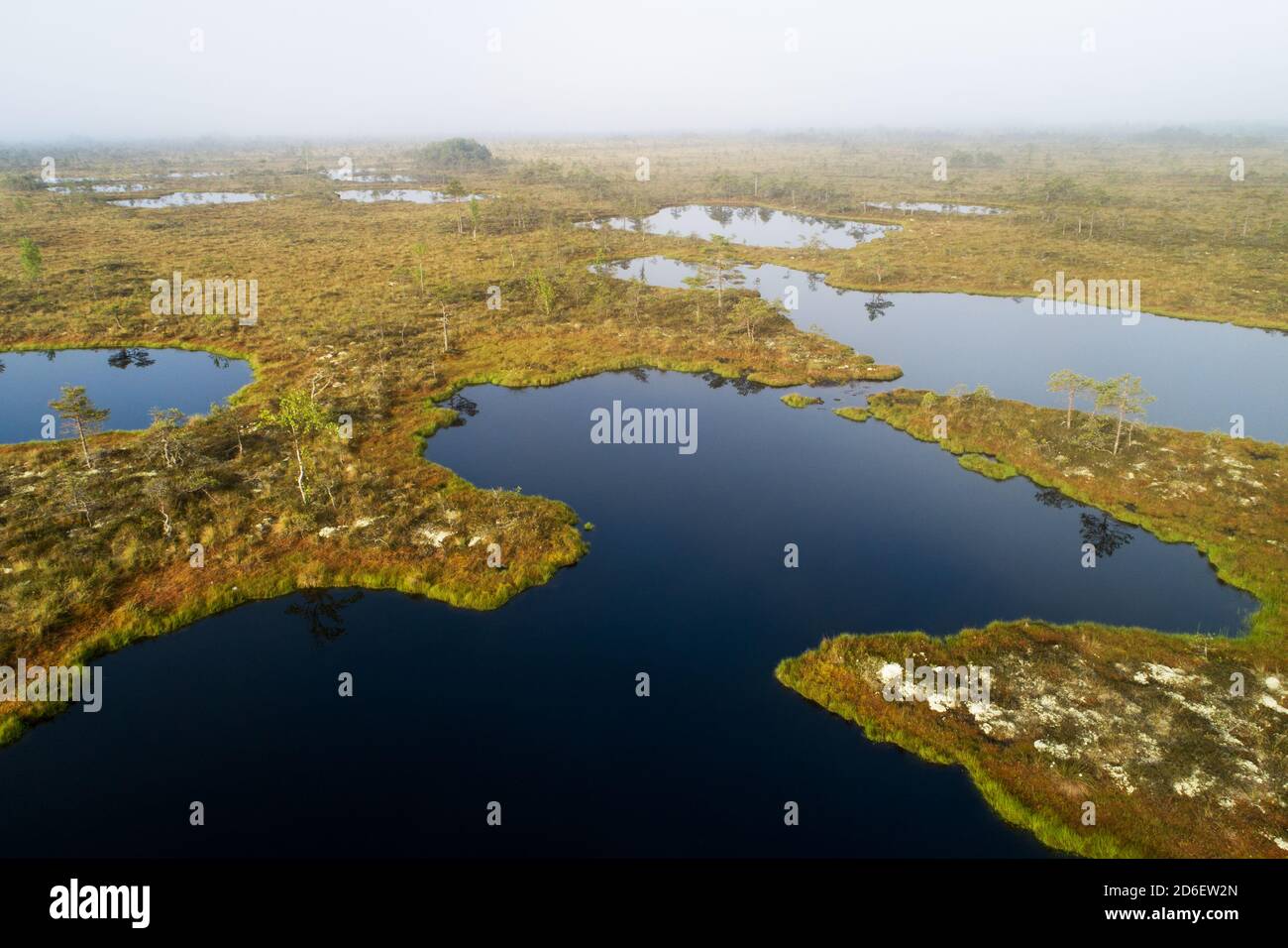 Soomaa National Park. Aerial view of bog lakes in Kuresoo bog during ...