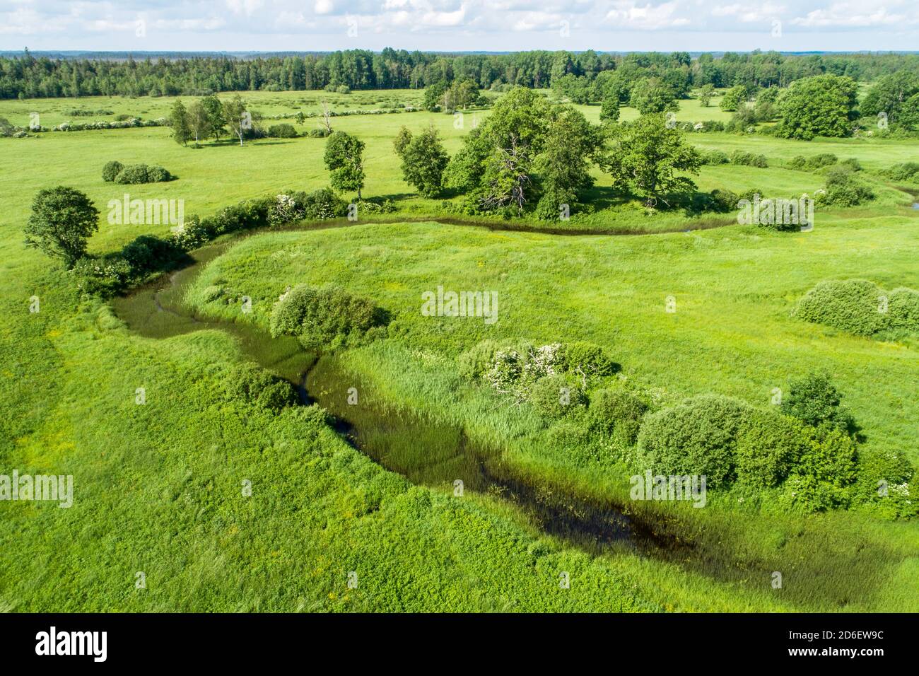 Soomaa national park estonia high river hi-res stock photography and ...