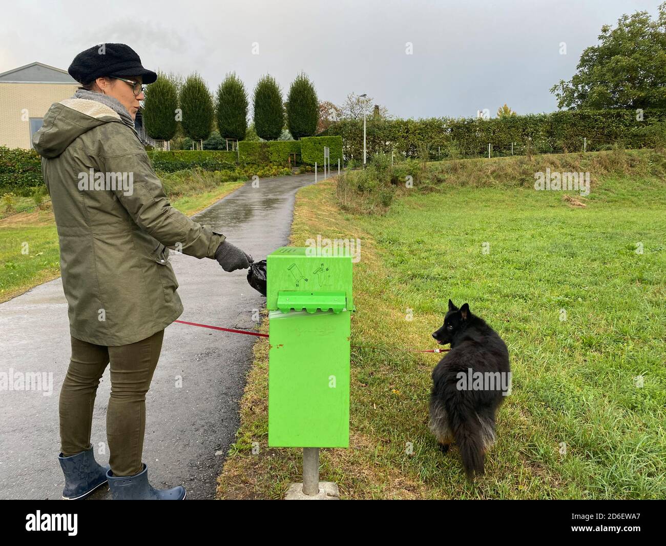 Disposal of dog poop bags into a green bin. Dispenser of dog feces bags ...