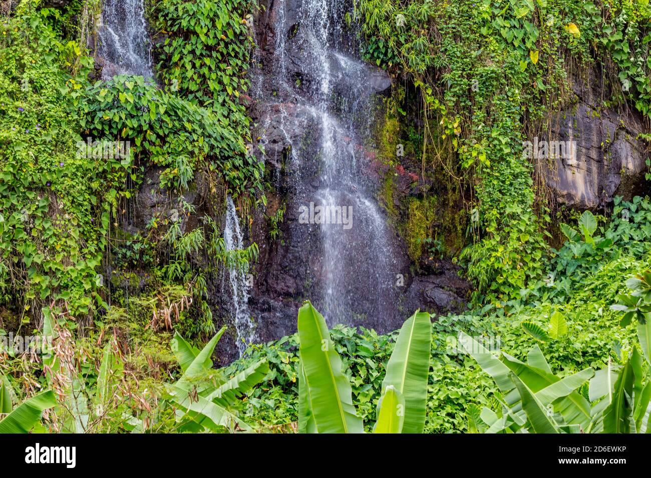 Waterfalls and tropical vegetation, destination Anse des Cascades ...