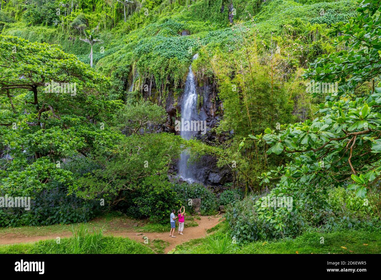Waterfall and tropical vegetation, destination Anse des Cascades, Piton ...