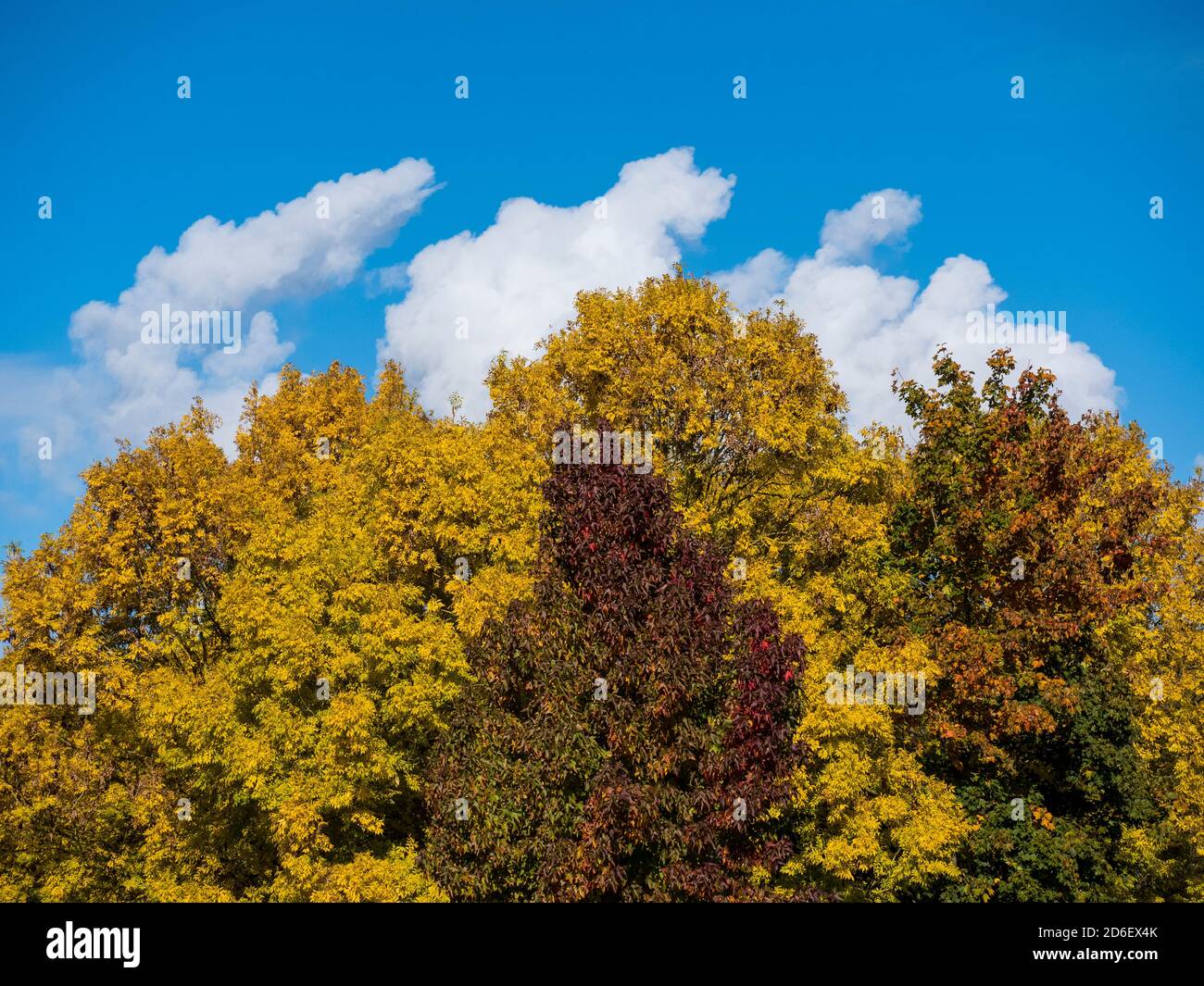 Rivermead park hi-res stock photography and images - Alamy