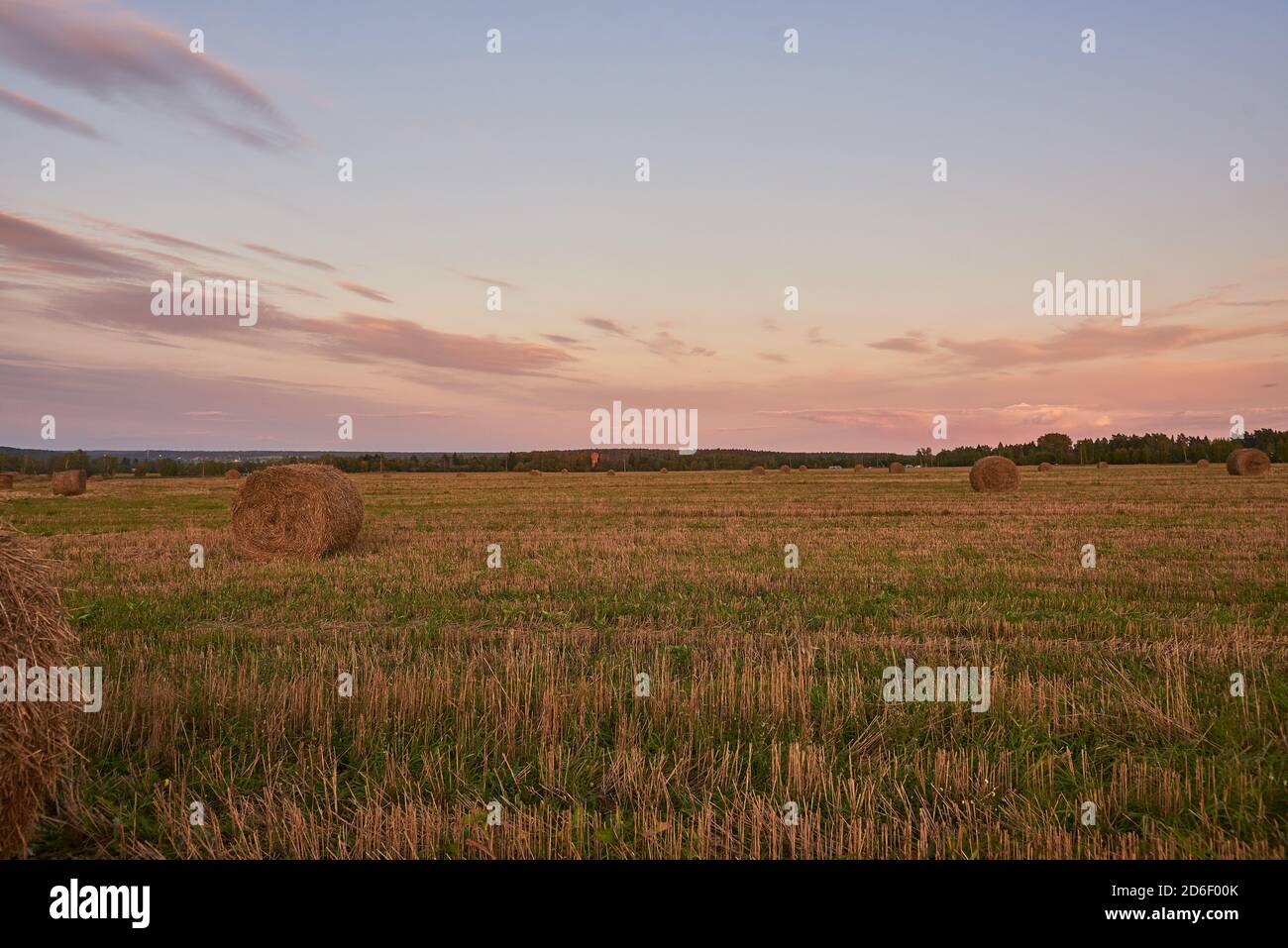 Mown grass aerial hi-res stock photography and images - Alamy