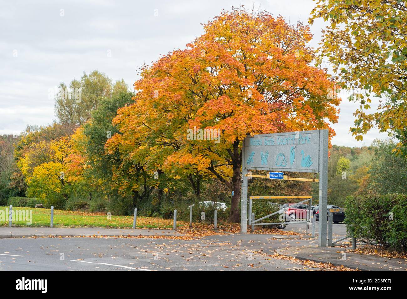 Entrance to Moses Gate Country Park in autumn with brightly coloured ...