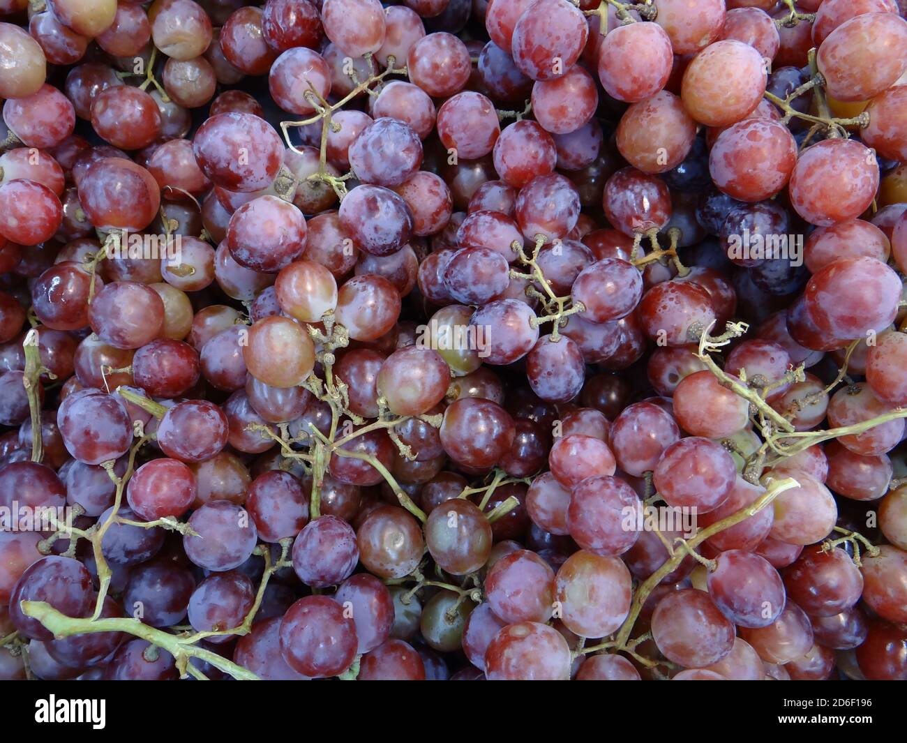 Closeup shot of red grapes in the fruit shop Stock Photo - Alamy