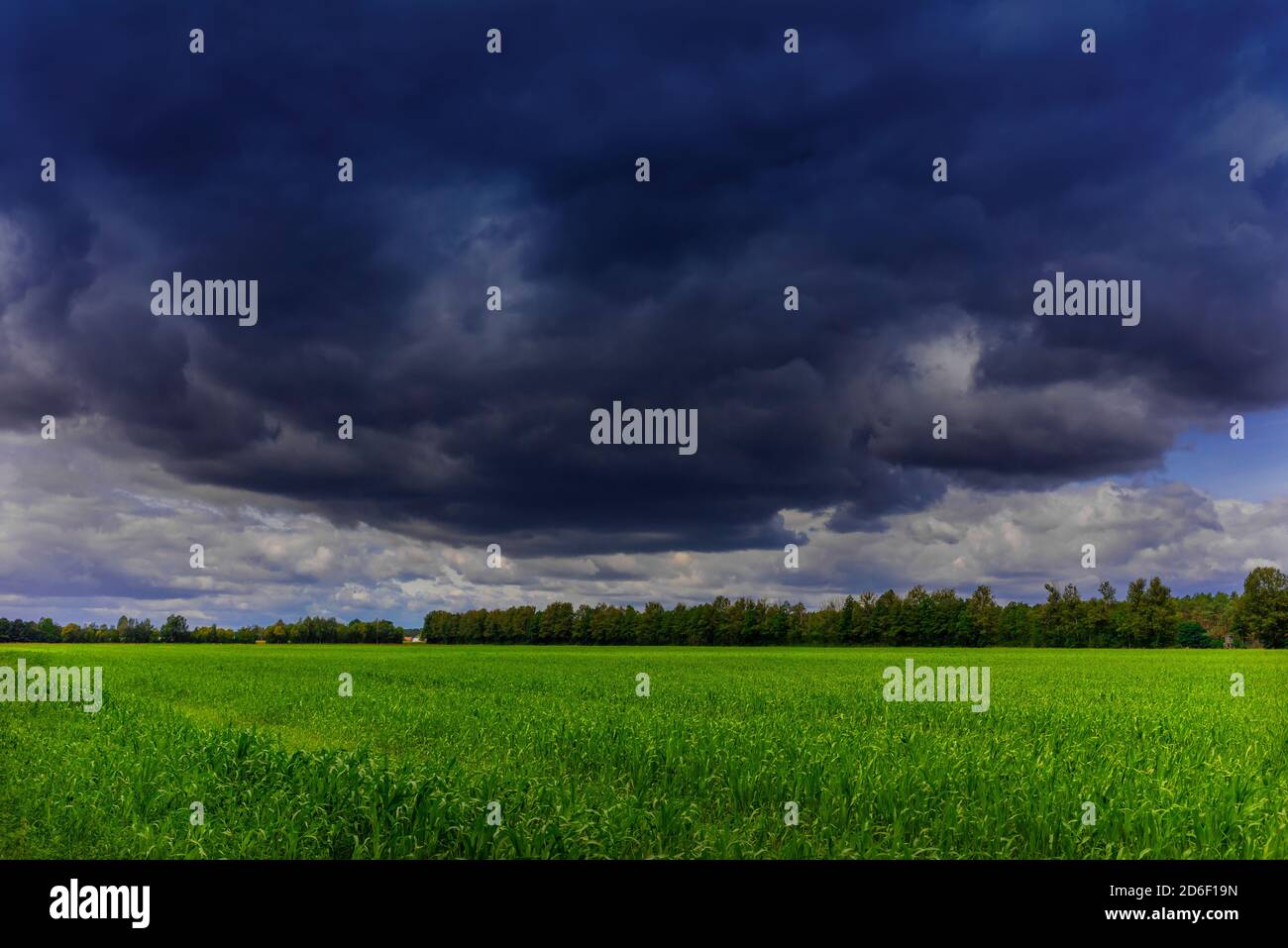 Beautiful rain hi-res stock photography and images - Alamy