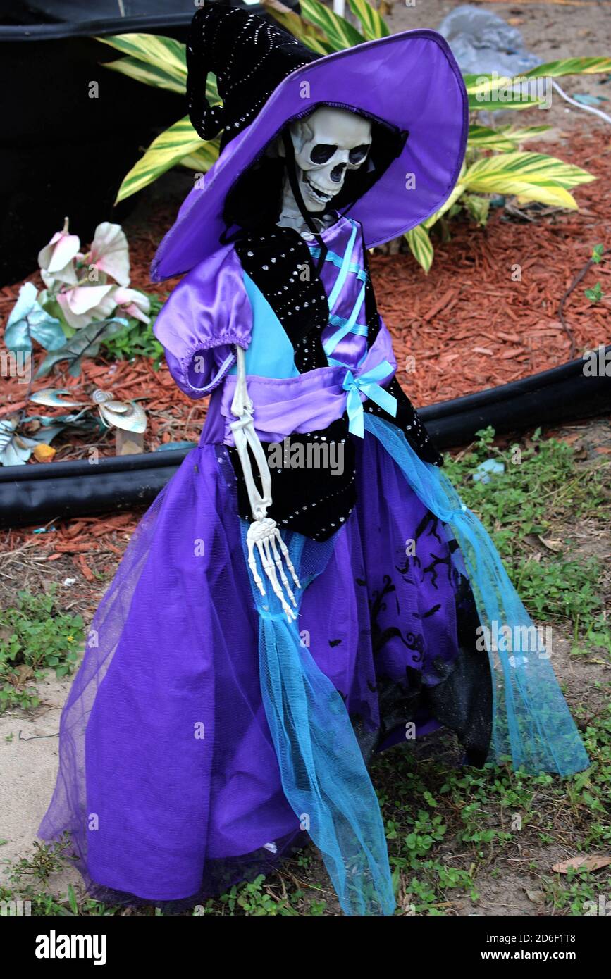 This Halloween skeleton is wearing a fancy witch costume Stock Photo ...