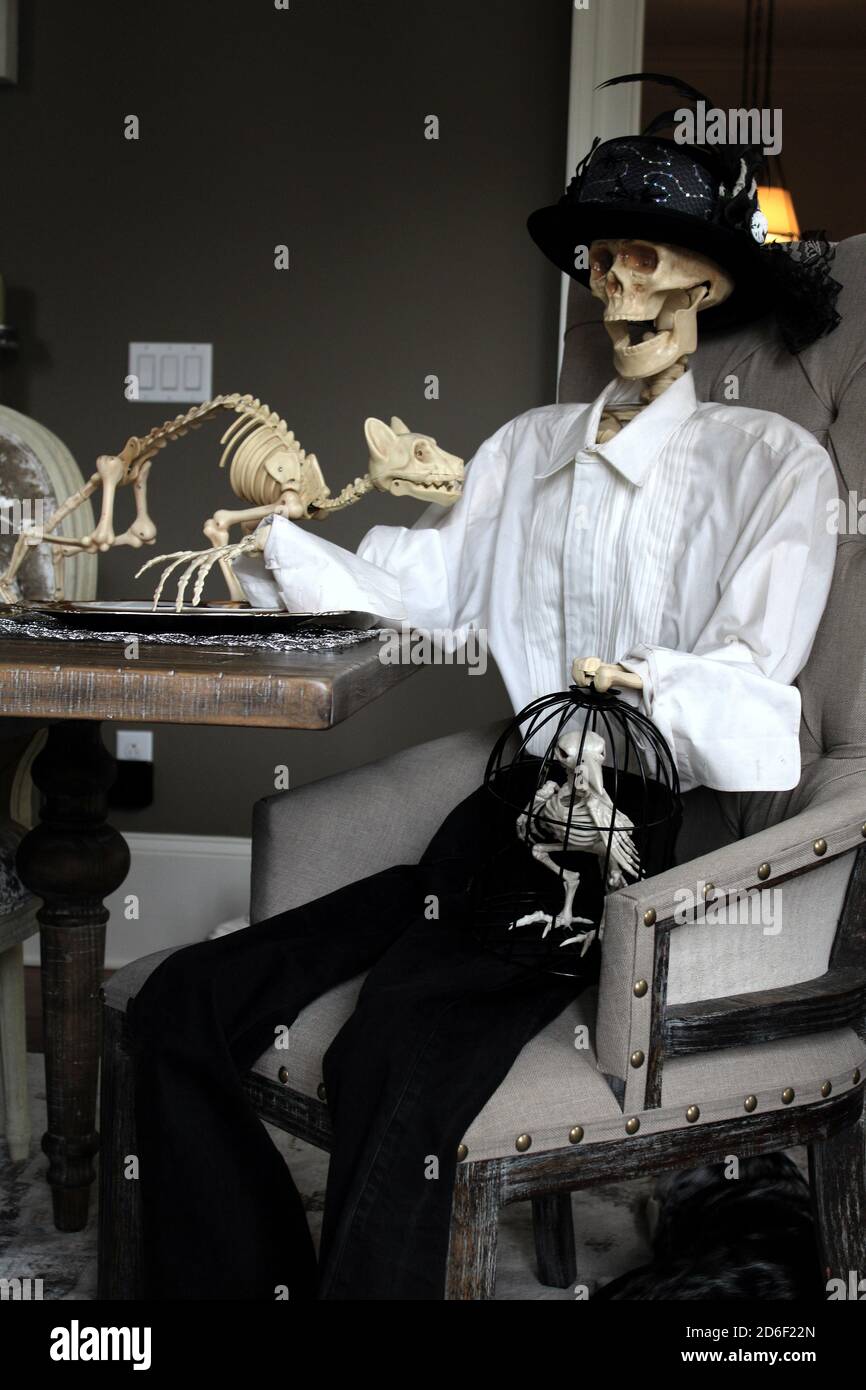 Skeleton wearing hat hi-res stock photography and images - Alamy
