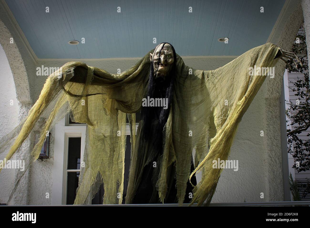 This Halloween witch is reaching out with skeletal hands Stock Photo ...