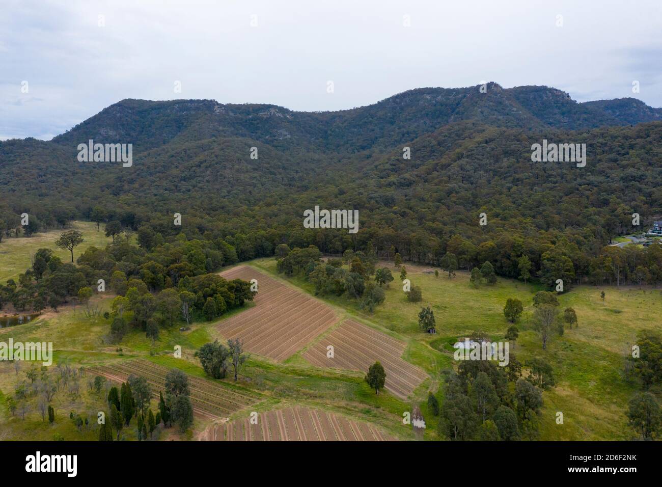 Aerial view of a vineyard in the Hunter Valley in regional New South ...