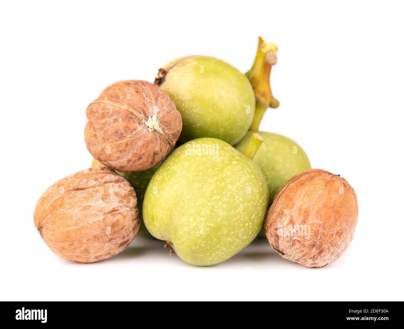 Green walnut, isolated on white background. Peeled walnut and kernels ...