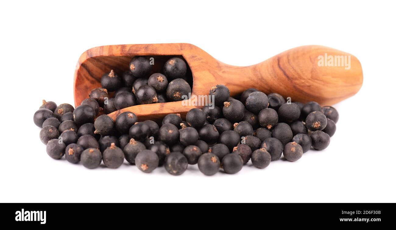 Dry juniper berries, isolated on white background. Common Juniper ...