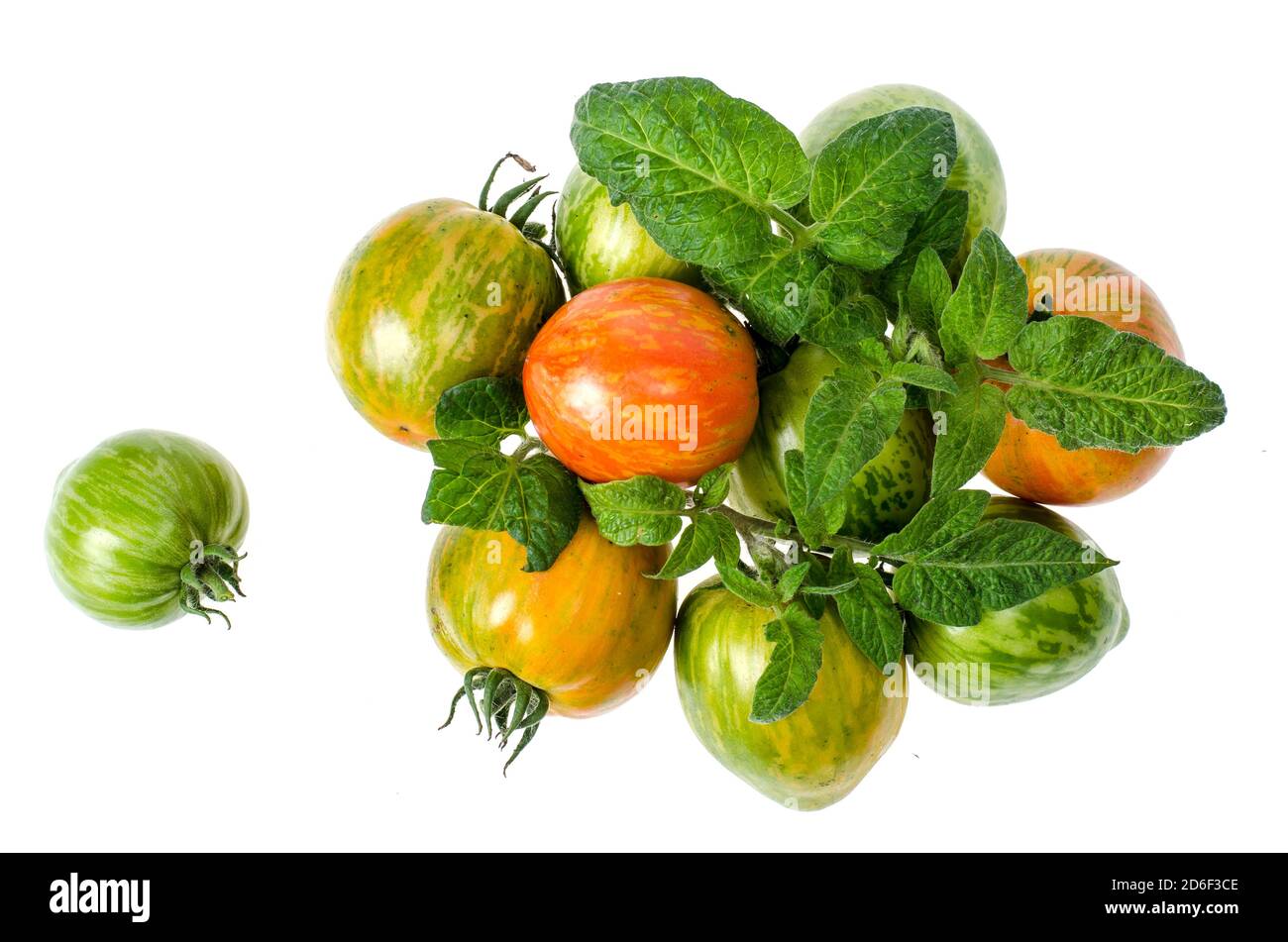 Trailing tomato Cut Out Stock Images & Pictures - Alamy