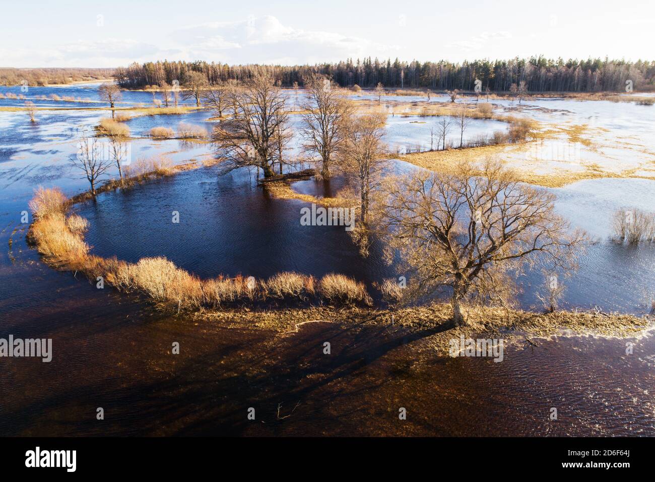 Soomaa National Park during a spring flooding also known as the Fifth ...