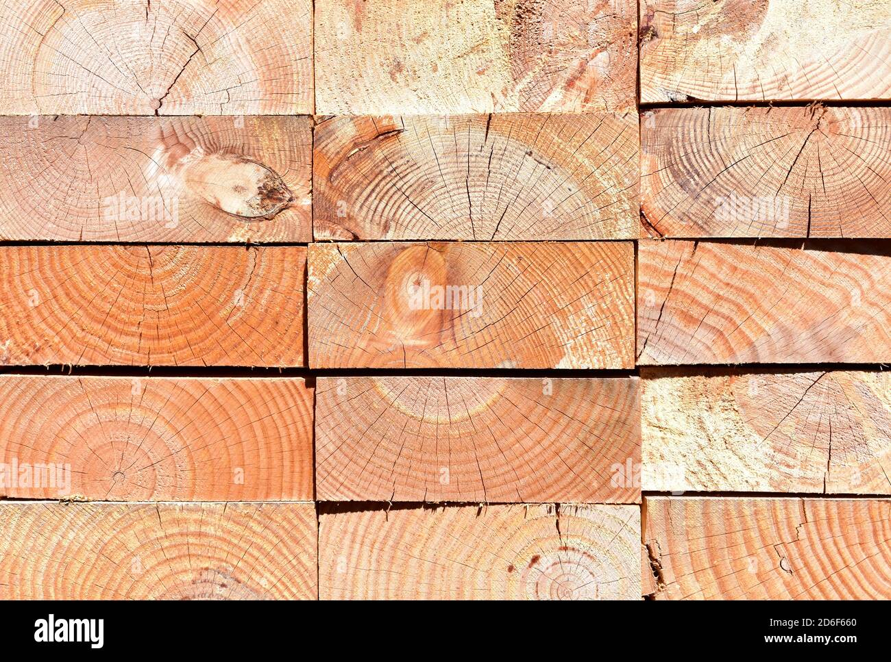 Pine tree cut wood background. Wood texture with sun light Stock Photo ...