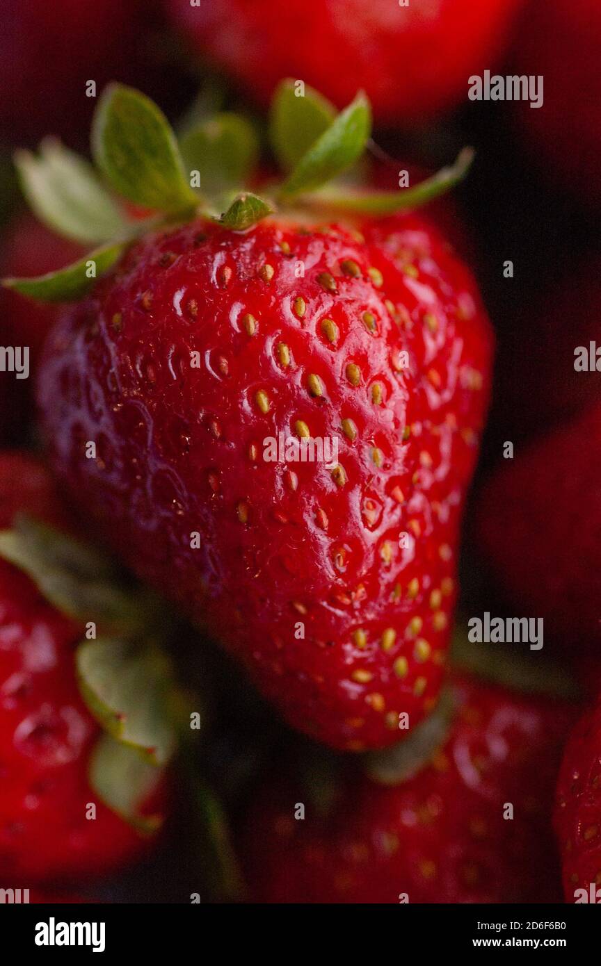 Strawberry. Fresh organic berries macro. Fruit background. Beautiful ...