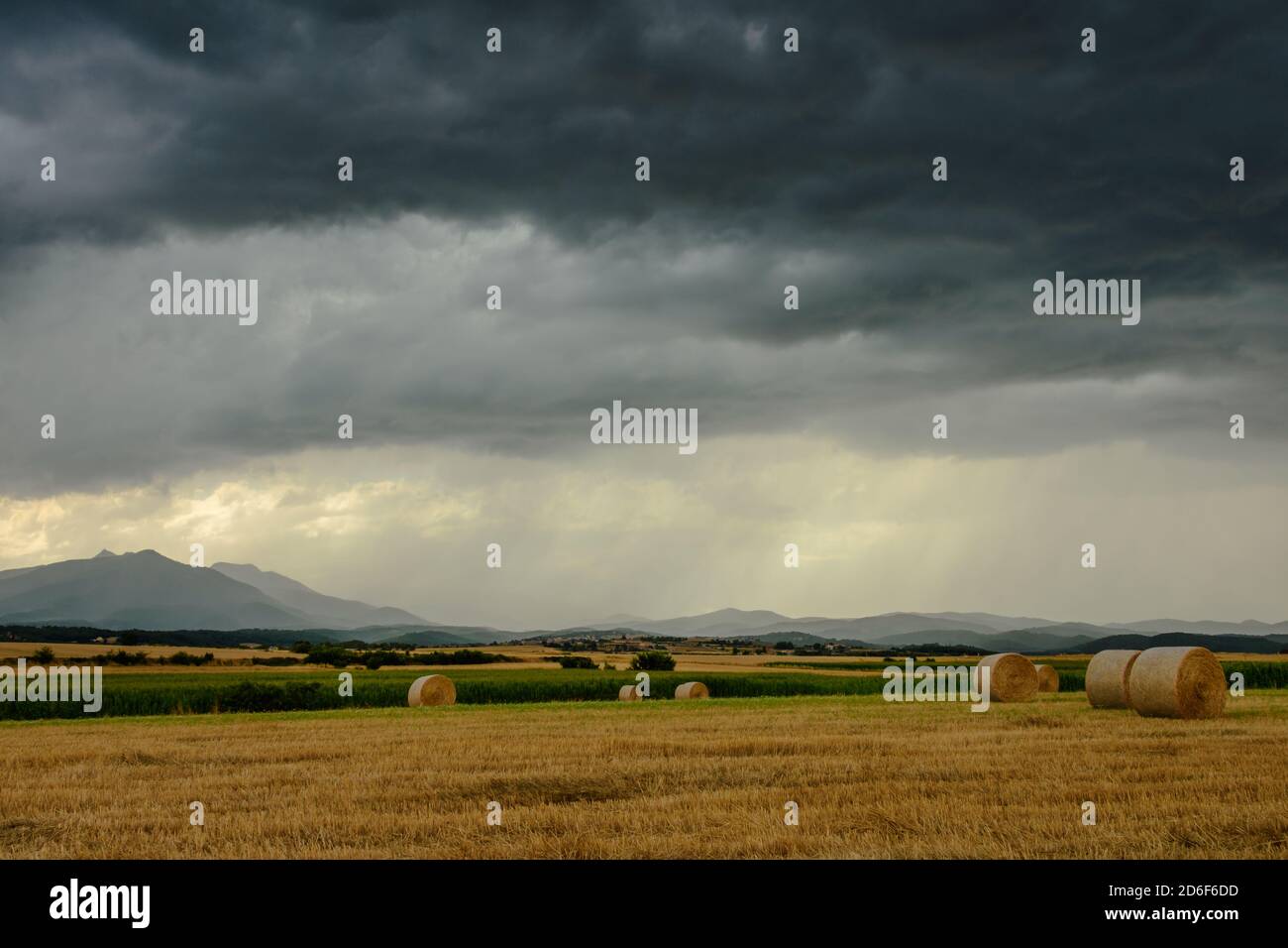 Storm over wheat field hi-res stock photography and images - Alamy