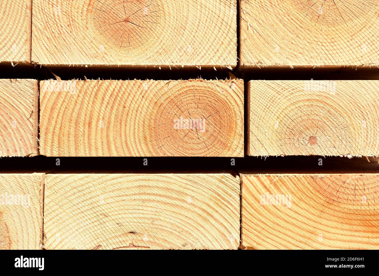 Pine tree cut wood background. Wood texture with sun light Stock Photo ...