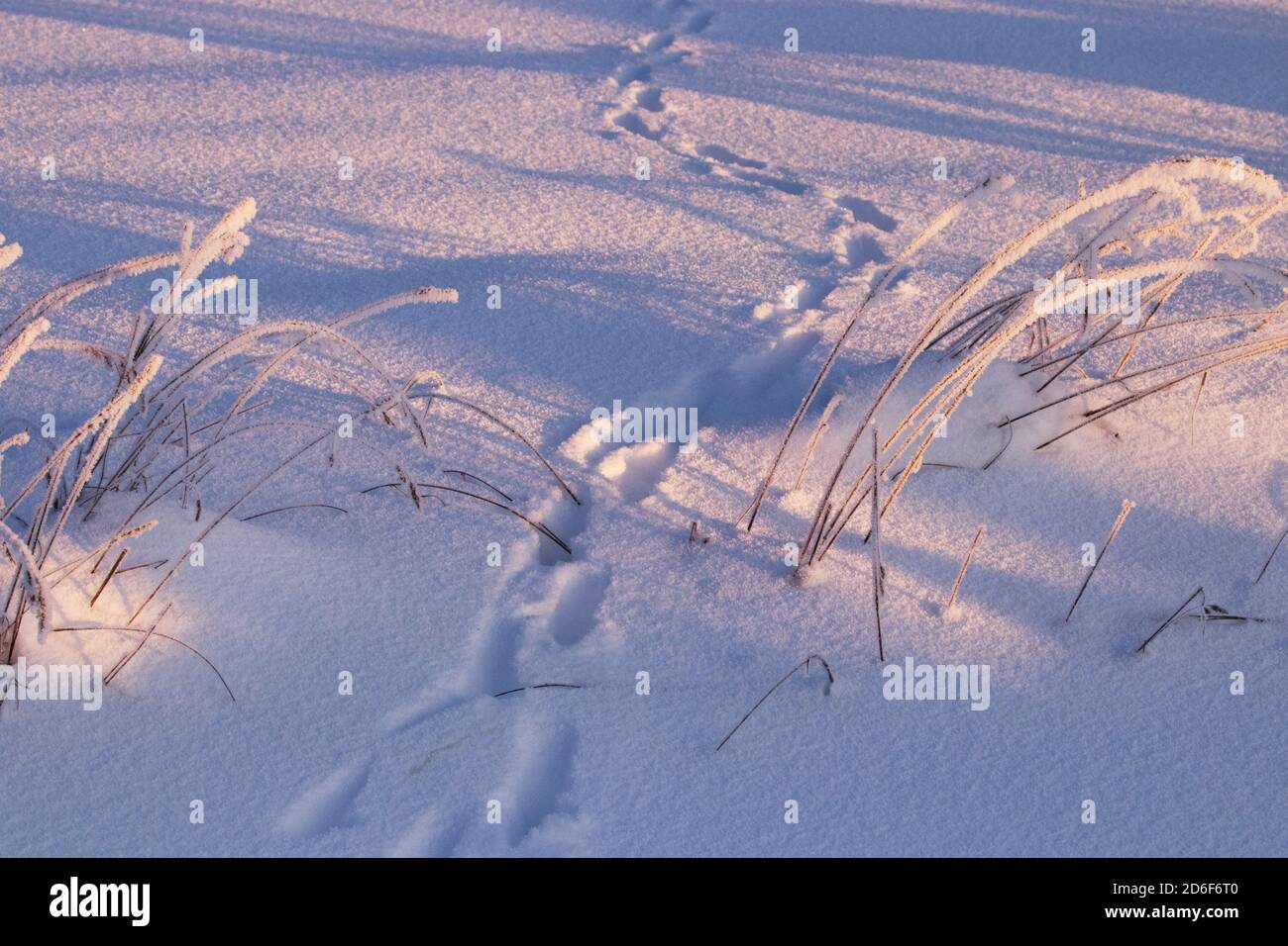 Weather tracking hi-res stock photography and images - Alamy
