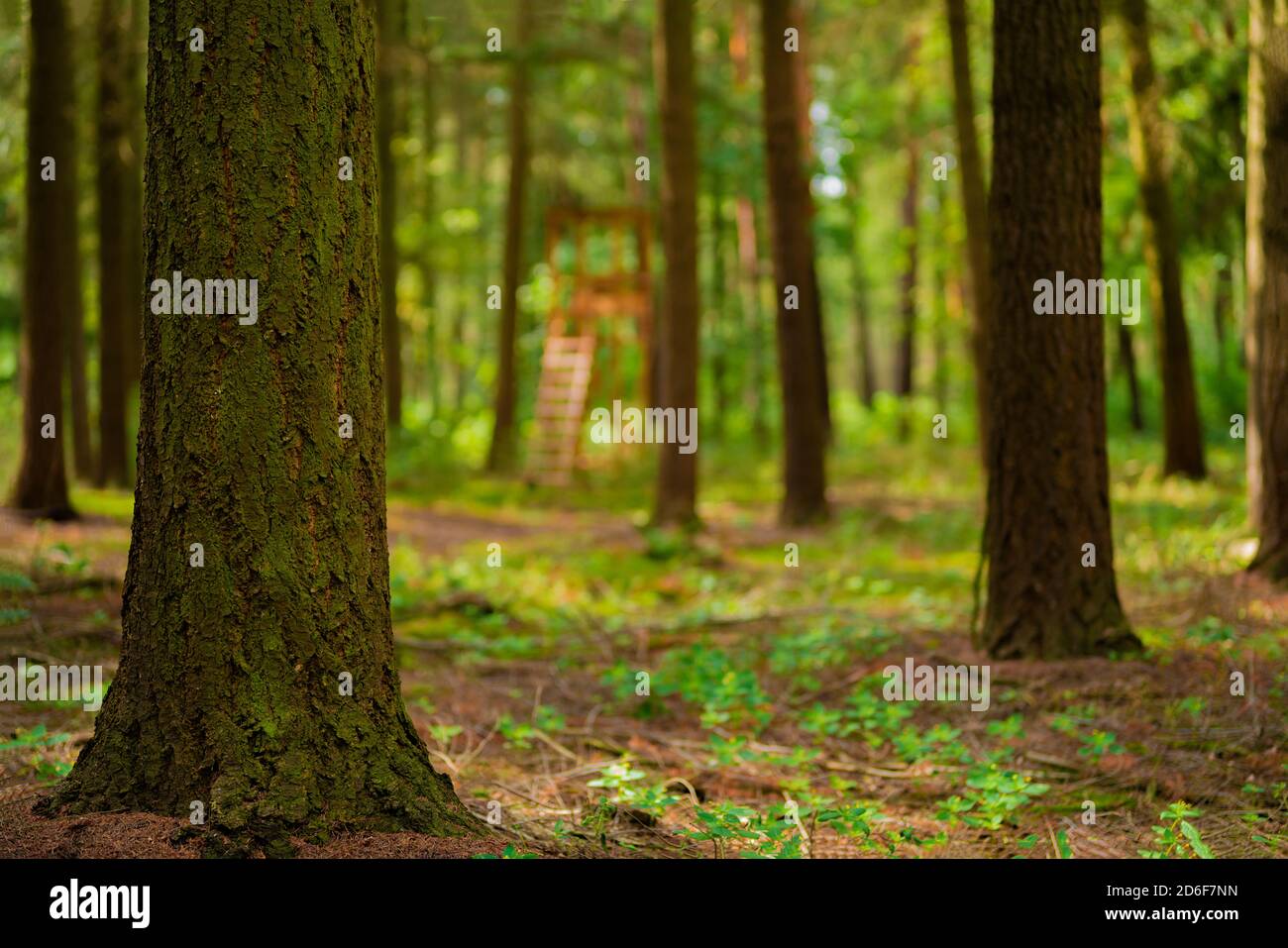 Raised stand hi-res stock photography and images - Alamy