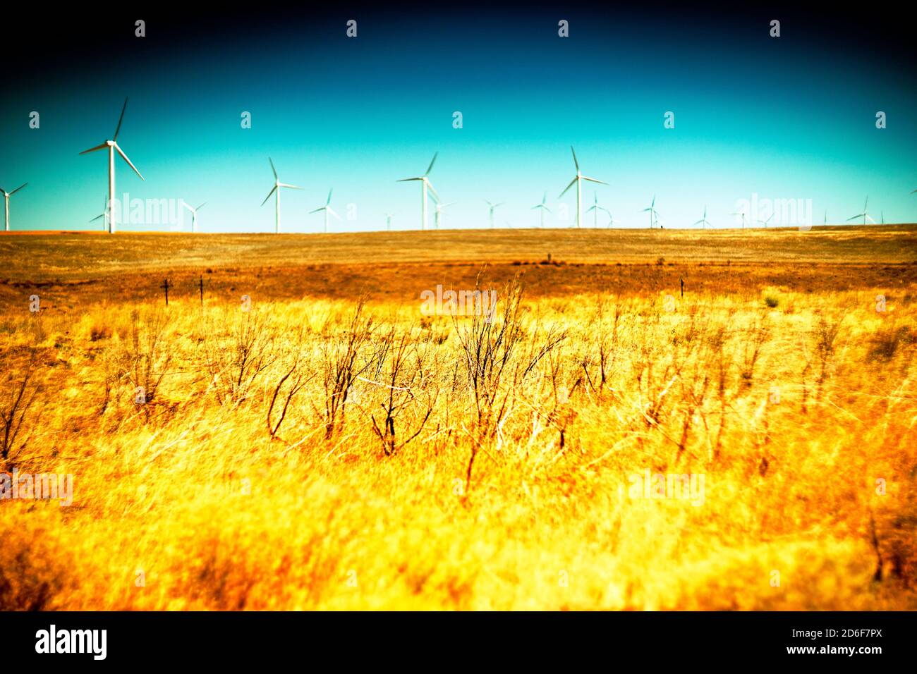 Golden Meadow and Wind Turbines in Rural Landscape Stock Photo - Alamy