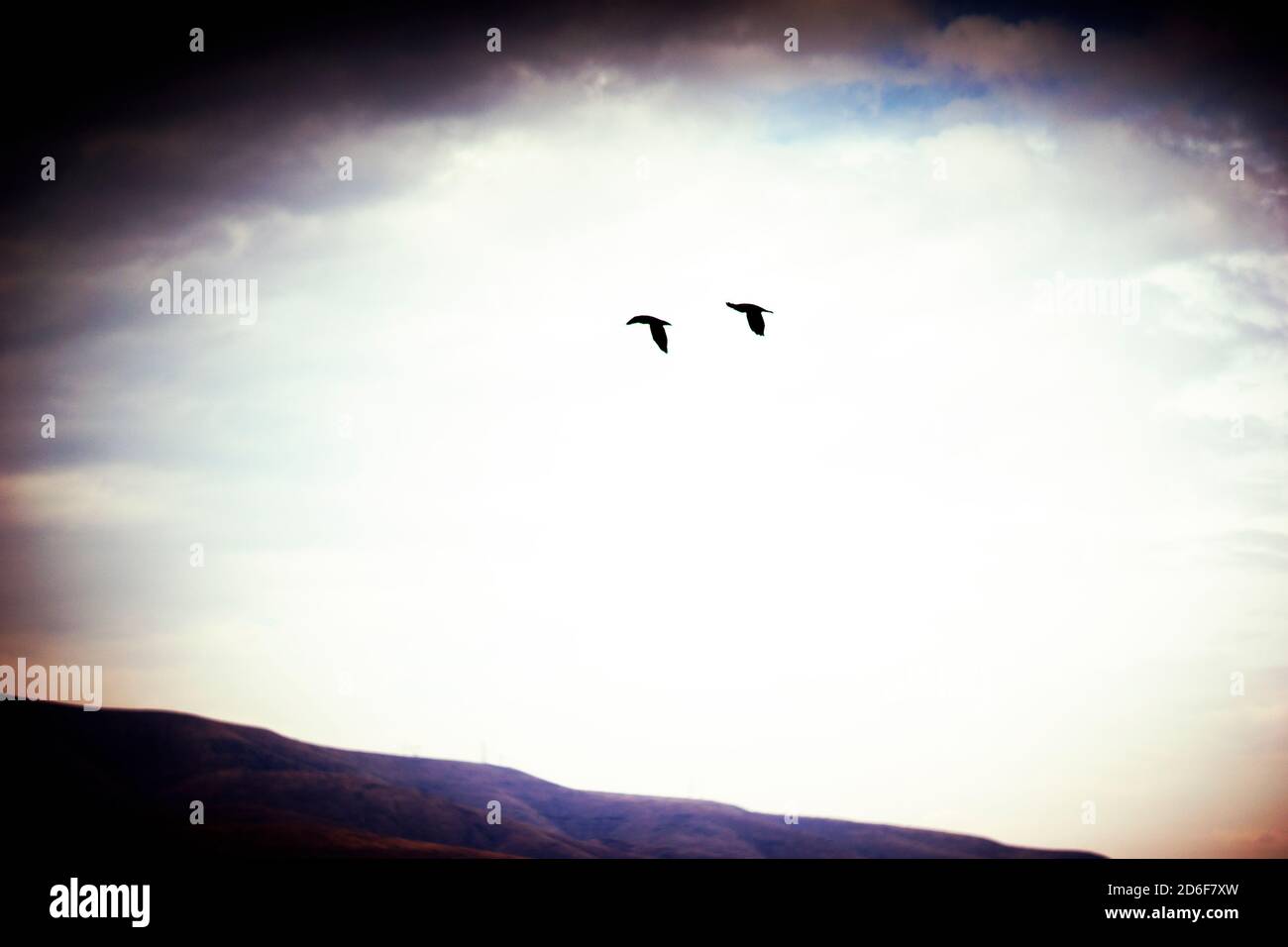 Barren hillside hi-res stock photography and images - Alamy