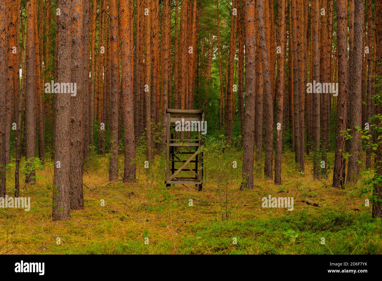 Hunting lodge in forest in germany Stock Photo - Alamy