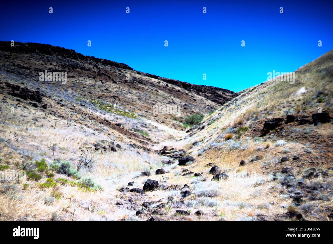 Remote Arid Hillside, Eastern Oregon, USA Stock Photo - Alamy