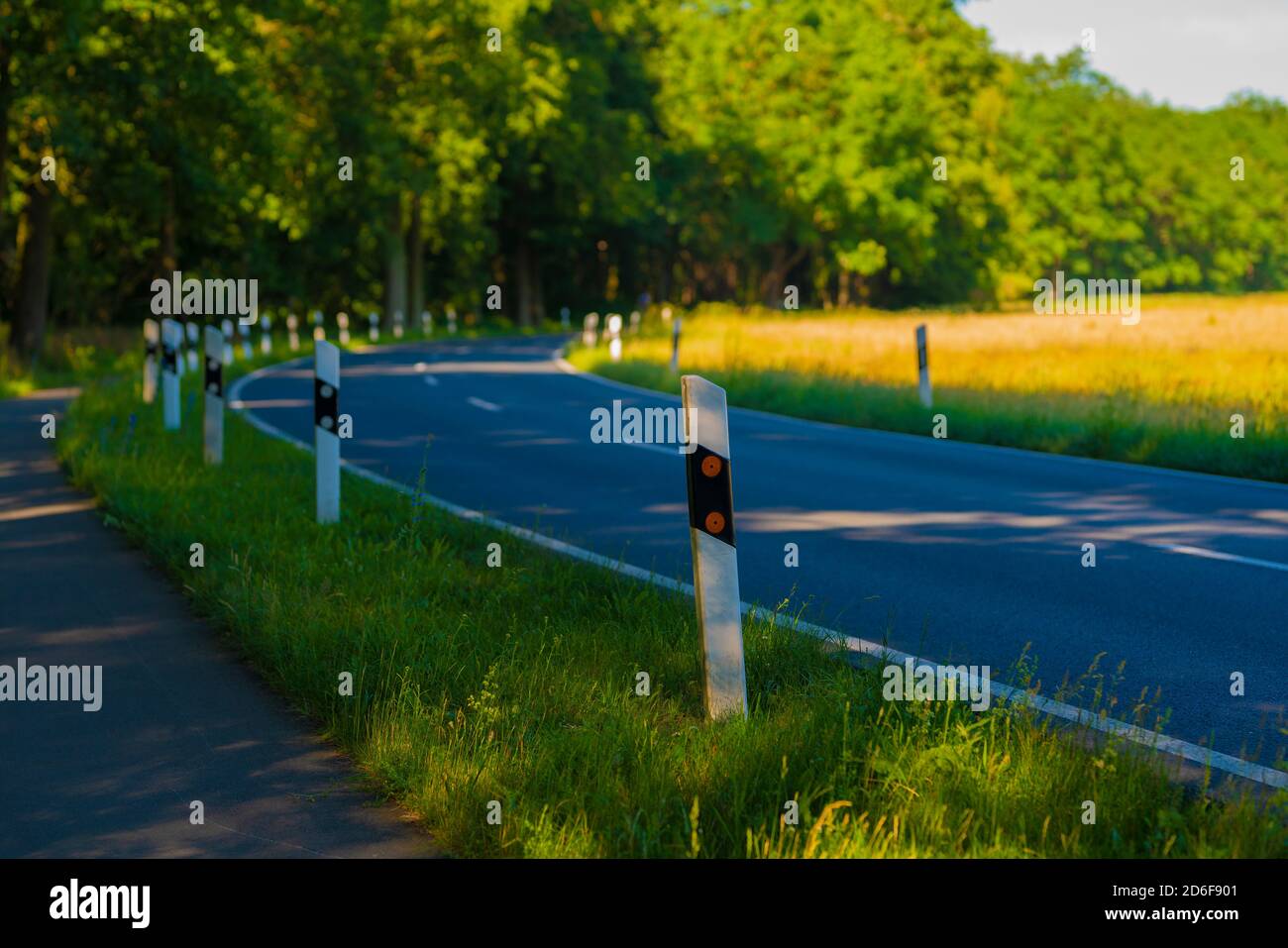 reflector post at the roadside in the early morning, selective ...