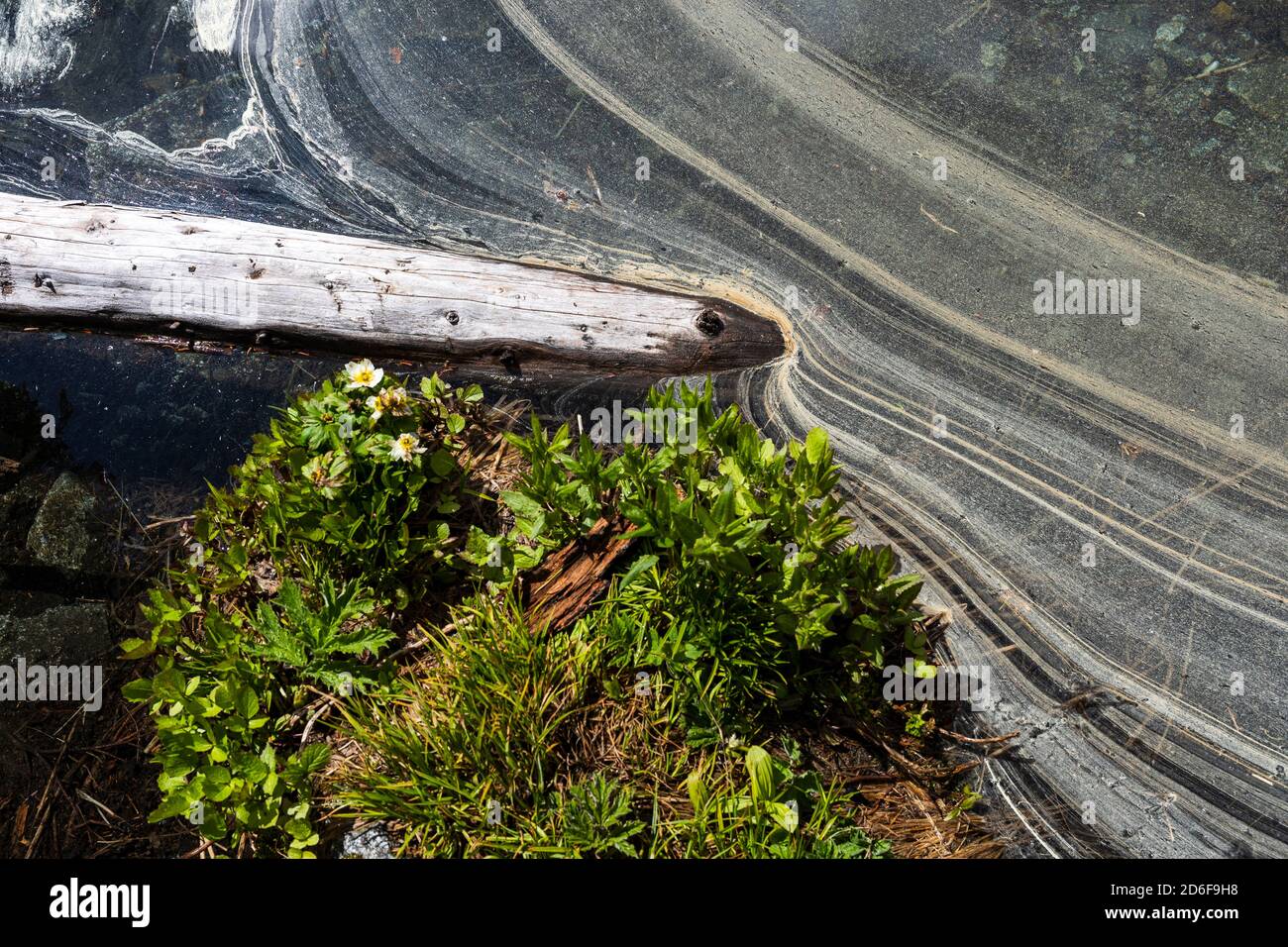 Stony surface hi-res stock photography and images - Alamy