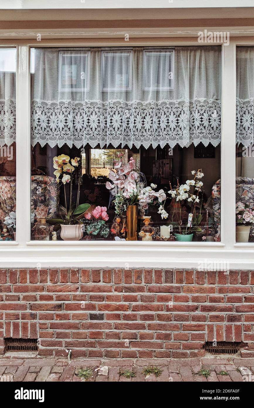 Pixel window hi-res stock photography and images - Alamy