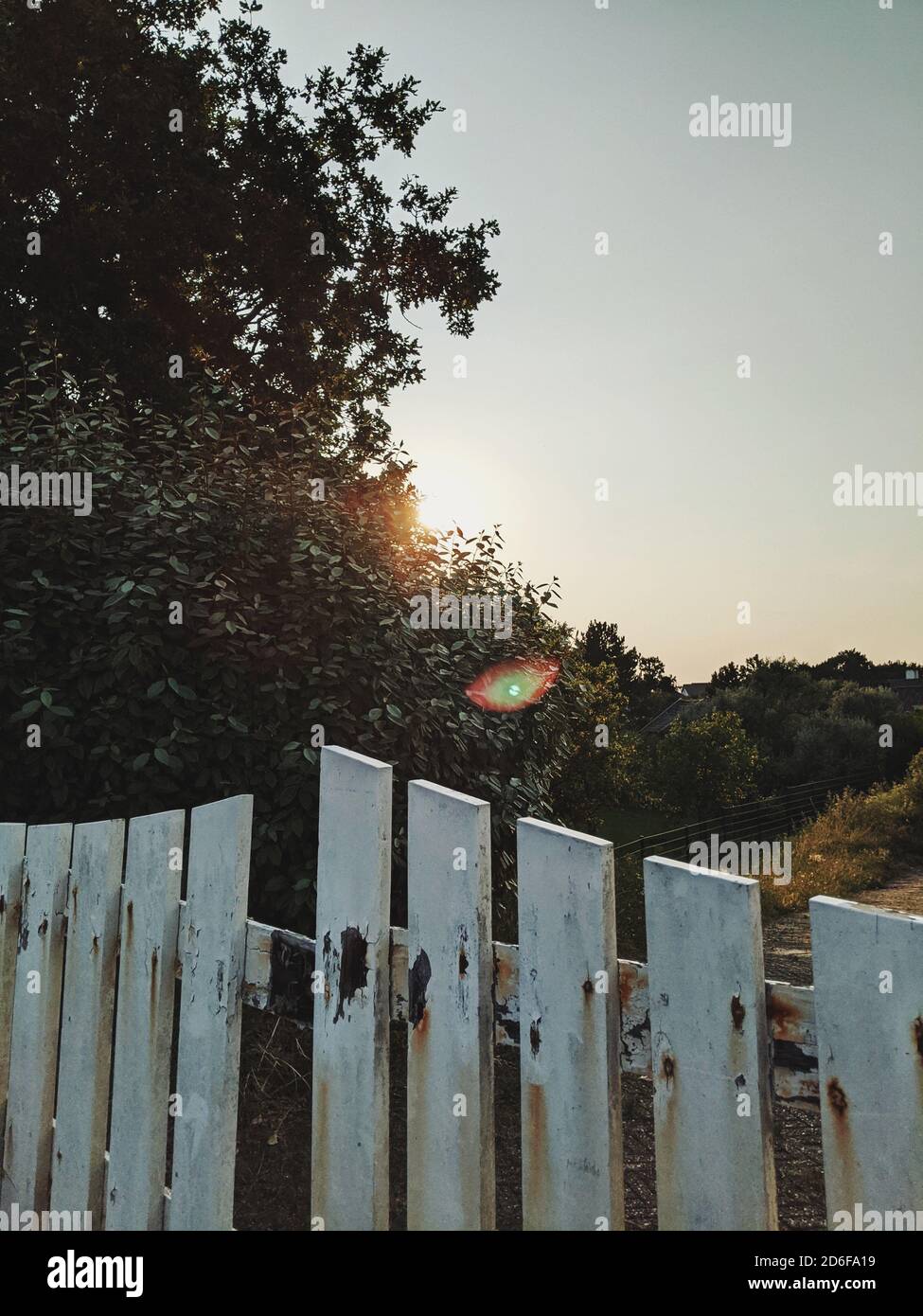white garden fence, sun is setting between trees Stock Photo - Alamy