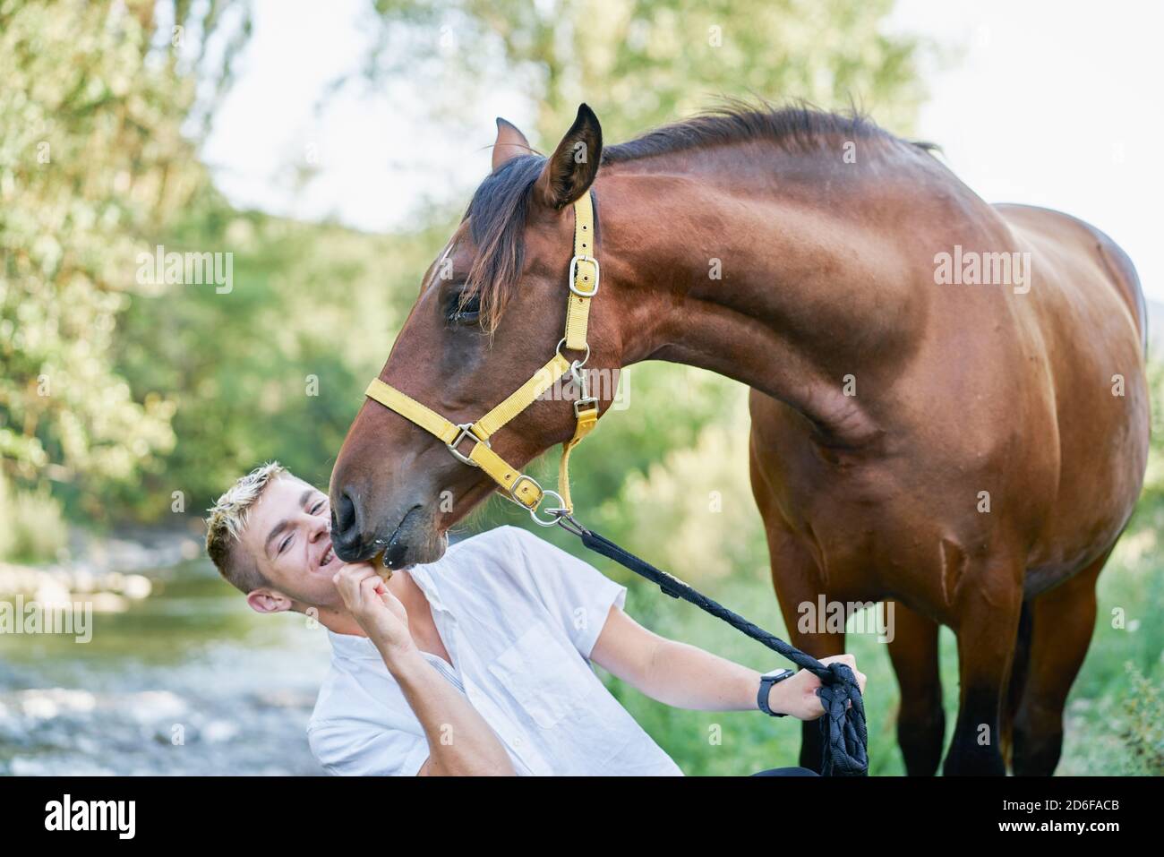 Young man with a horse hi-res stock photography and images - Alamy