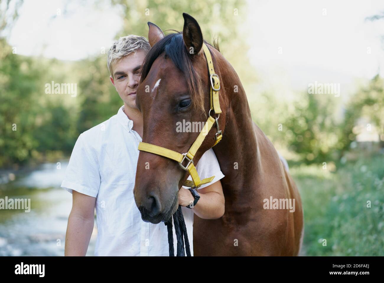 Portrait of a blond young man with a horse Stock Photo - Alamy