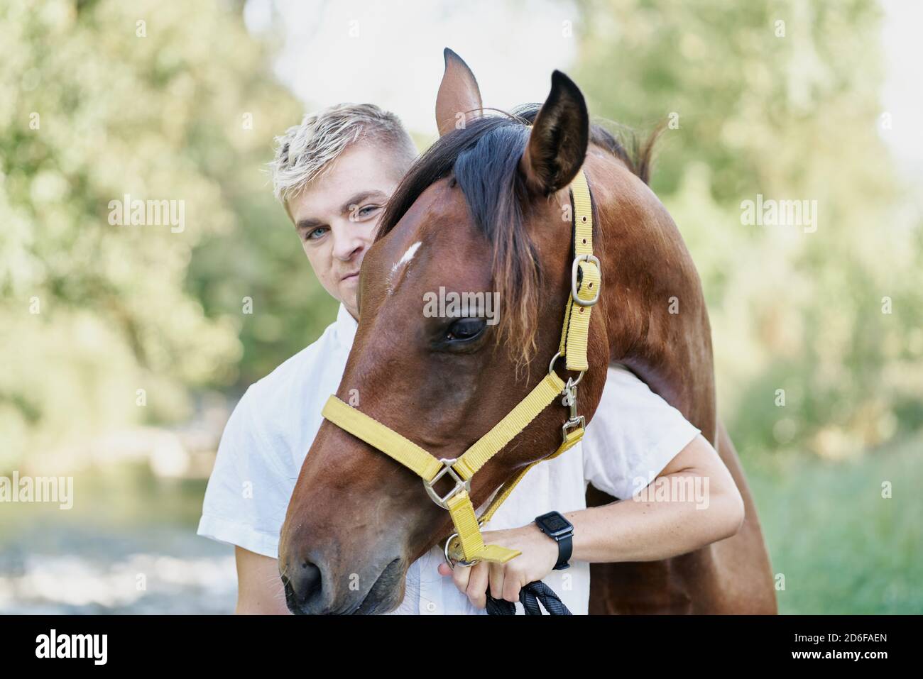 Portrait of a blond young man with a horse Stock Photo - Alamy
