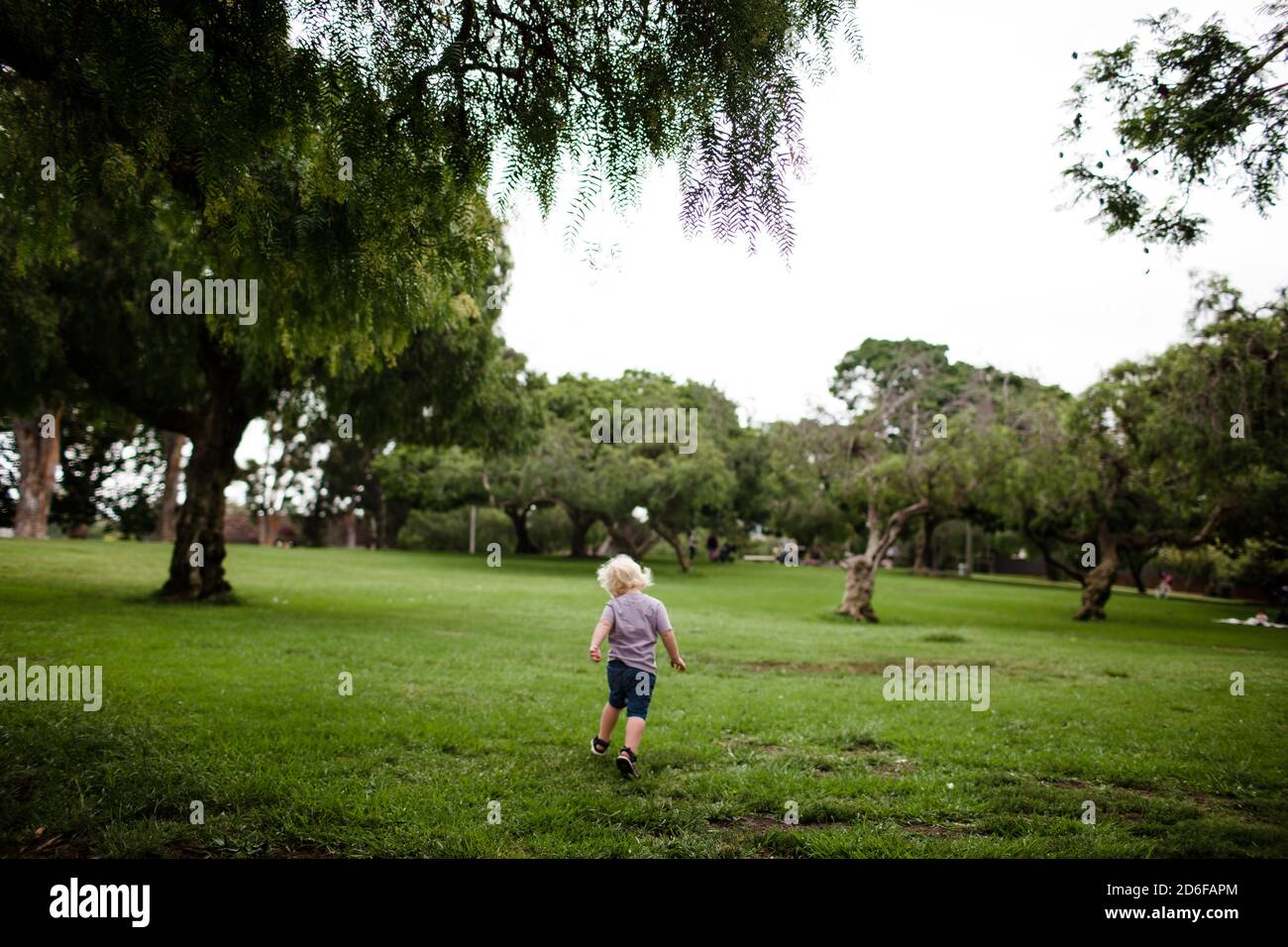 Two Year Old Running Through Park with Back to Camera Stock Photo - Alamy