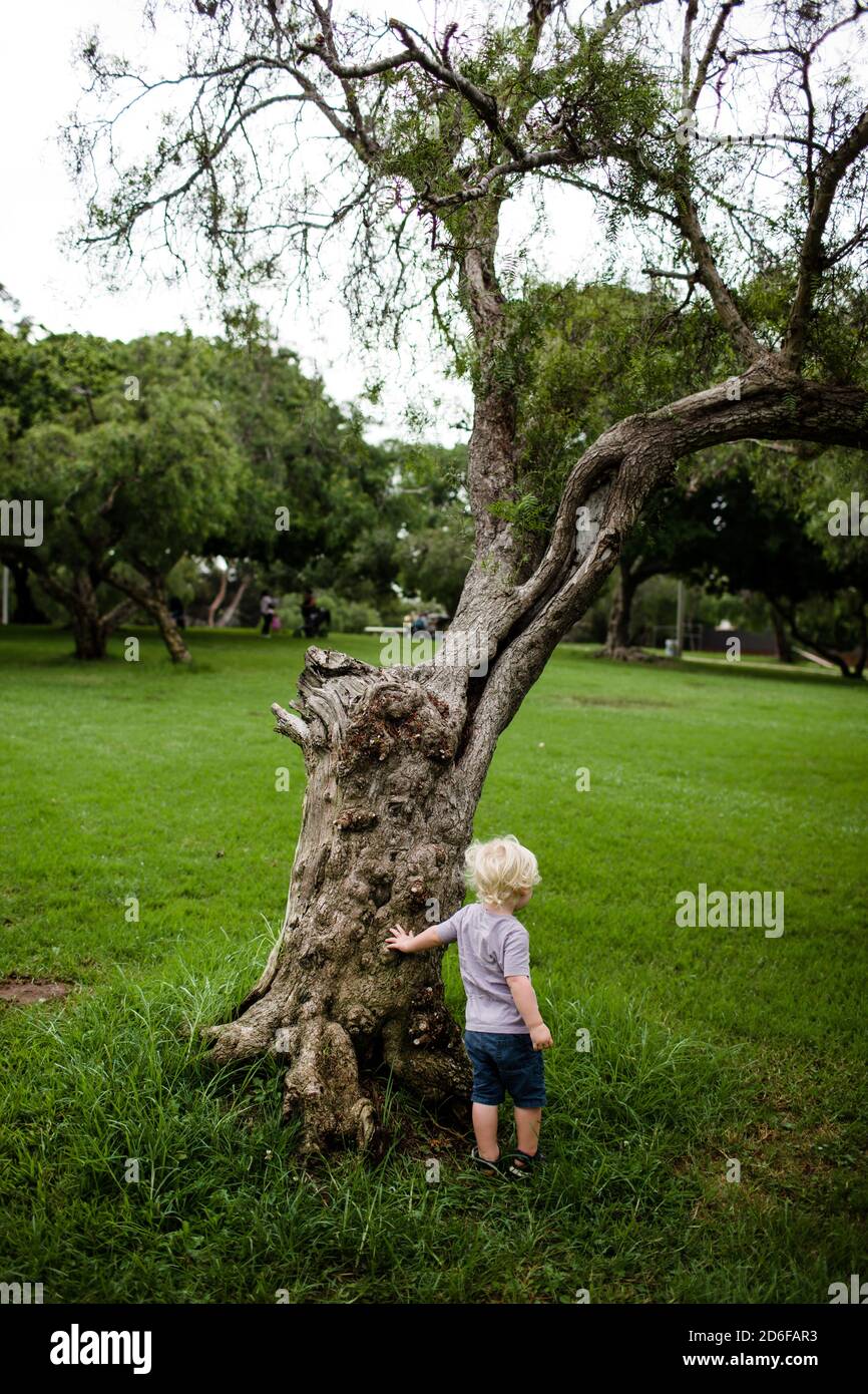 Two Year Old Touching Tree Looking Out into Park Stock Photo - Alamy