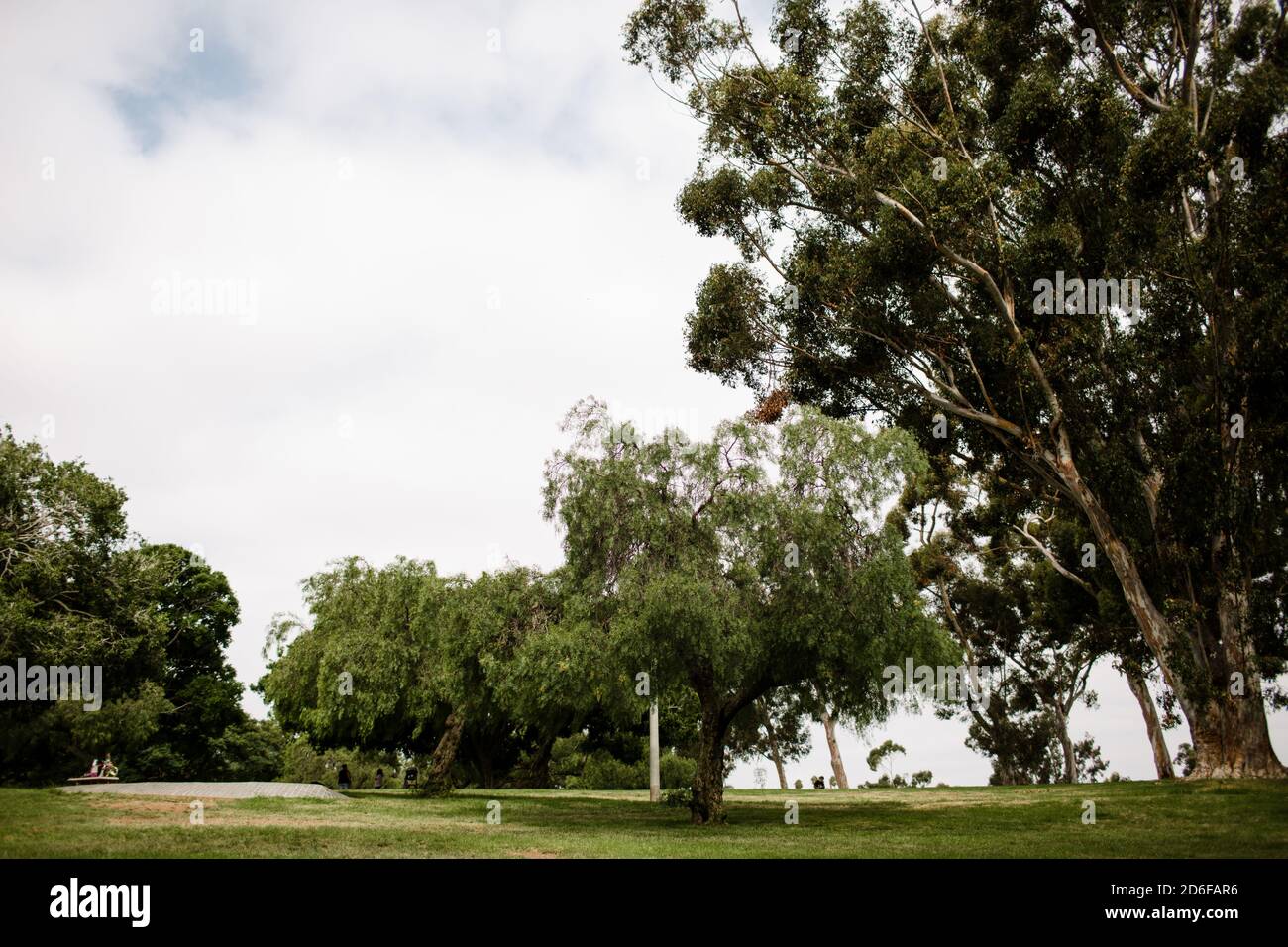 Nephew shot hi-res stock photography and images - Alamy