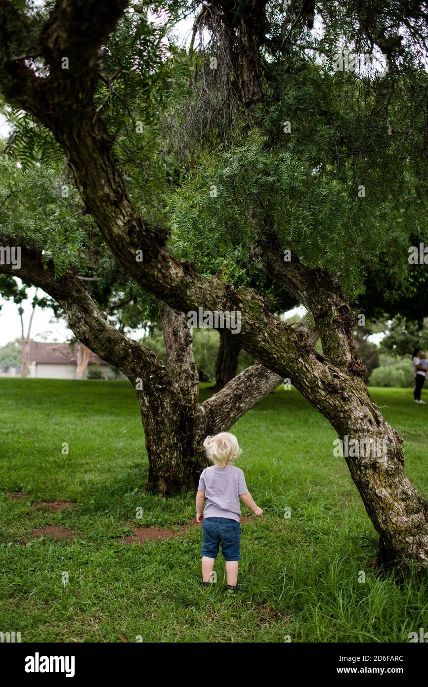 Toddler looking up at trees hi-res stock photography and images - Alamy