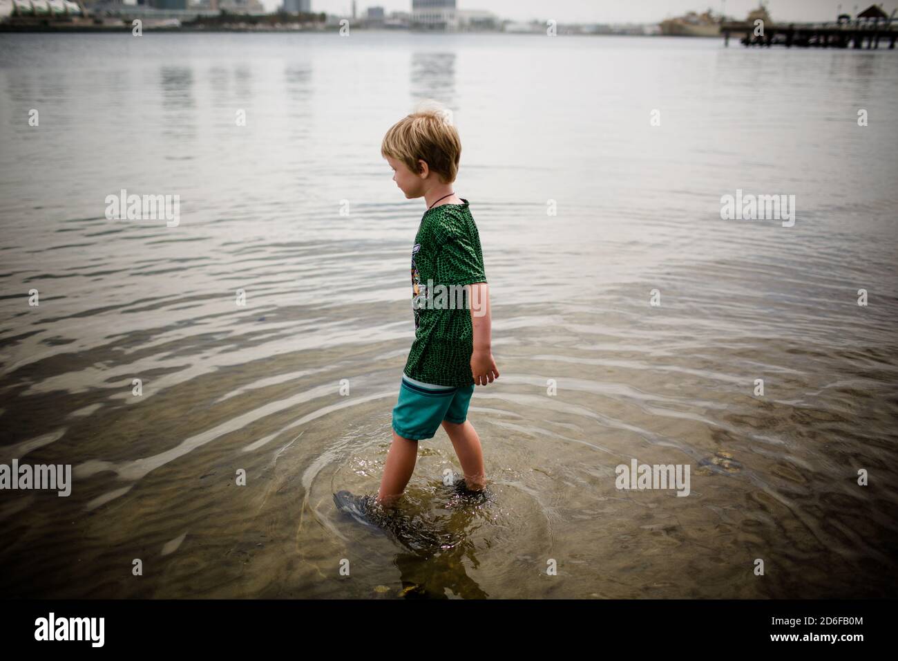 Six Year Old Boy Wading in Coronado Bay Stock Photo - Alamy
