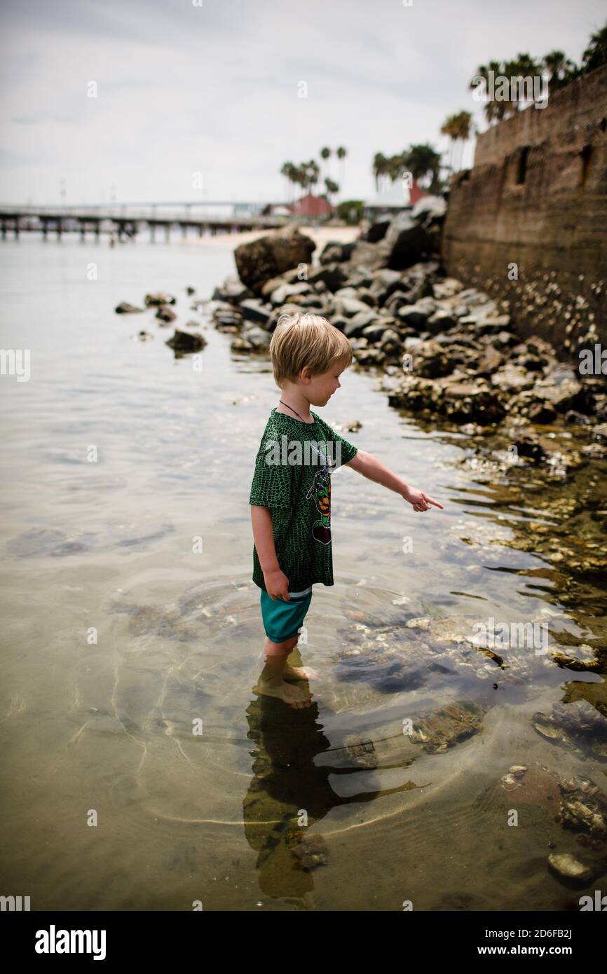Six Year Old Boy Pointing & Standing in Coronado Bay Stock Photo - Alamy