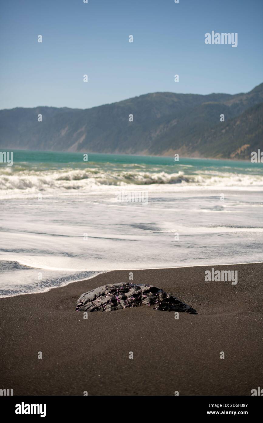 Black rock in a black sand beach on The Lost Coast Trail, northern CA ...