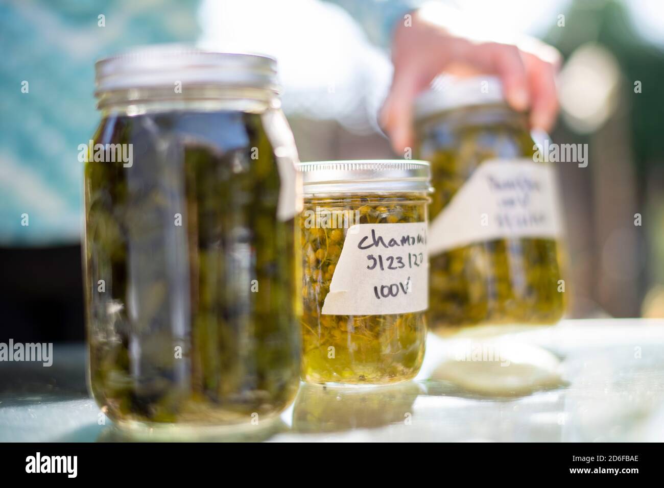 woman grabbing a mason jar with a homeade herbal infusion Stock Photo ...