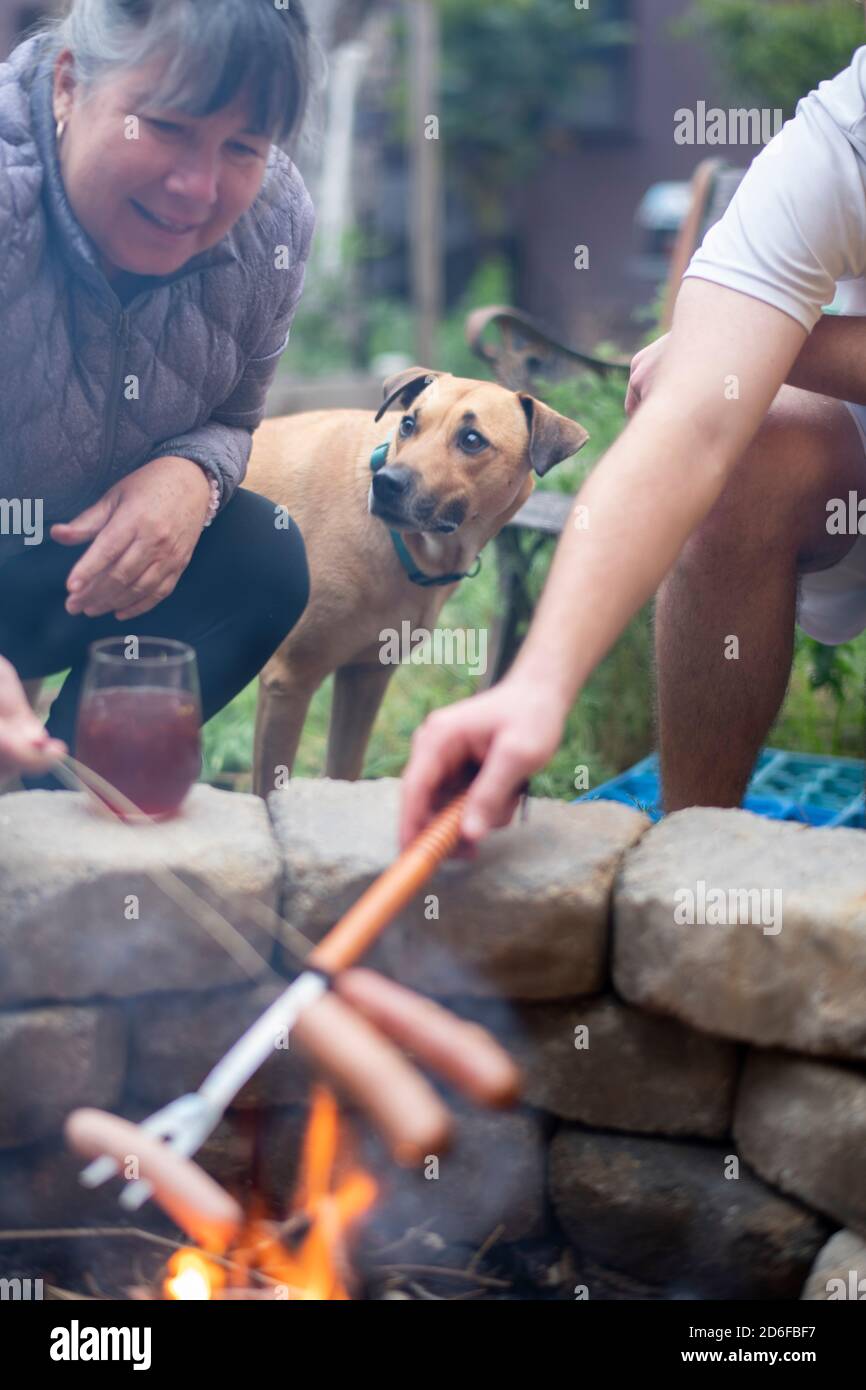 Hot dog roast hi-res stock photography and images - Alamy